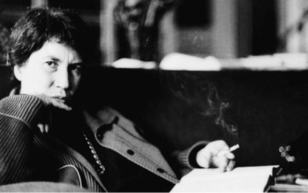 Au pays des ânes et des ânesses - Journal d'explorations littéraires